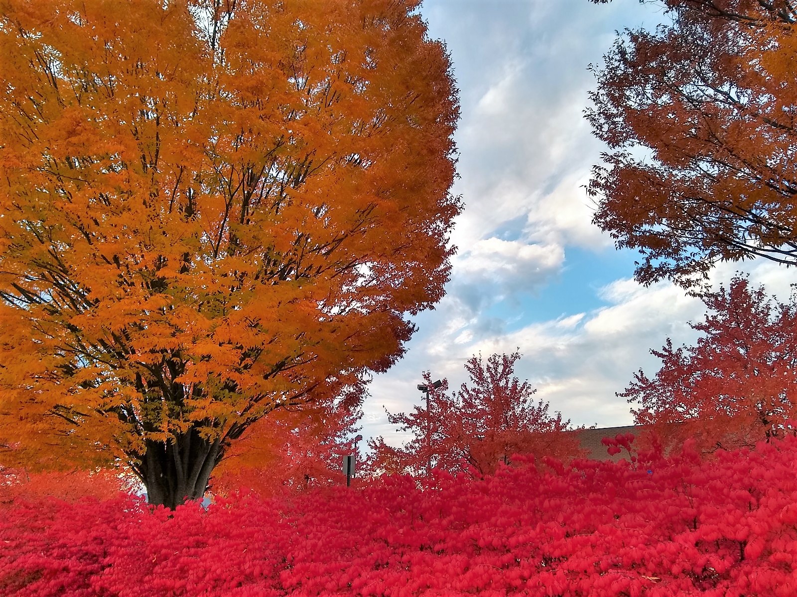 NEW REALITY – Faith Walk Ministries, Inc.